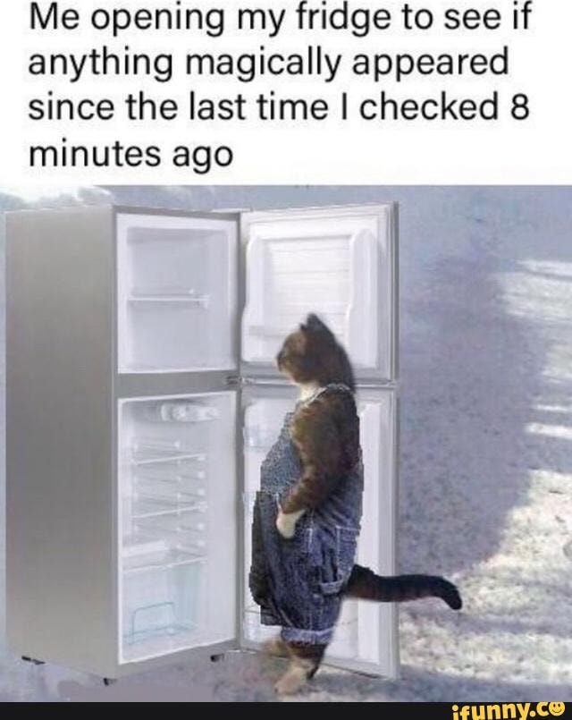 Small dump of cat memes to brighten your day! - Me opening my fridge to ...