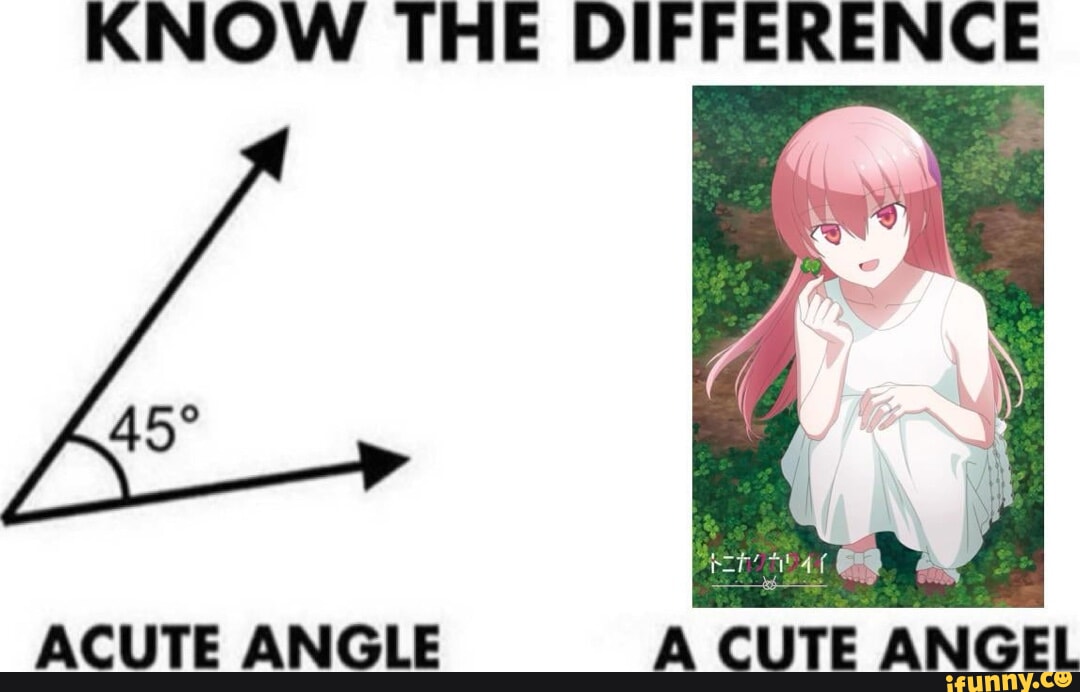 KNOW THE DIFFERENCE ACUTE ANGLE A CUTE ANGEL - iFunny