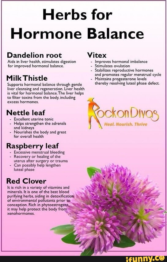 Digestion memes. Best Collection of funny Digestion pictures on iFunny