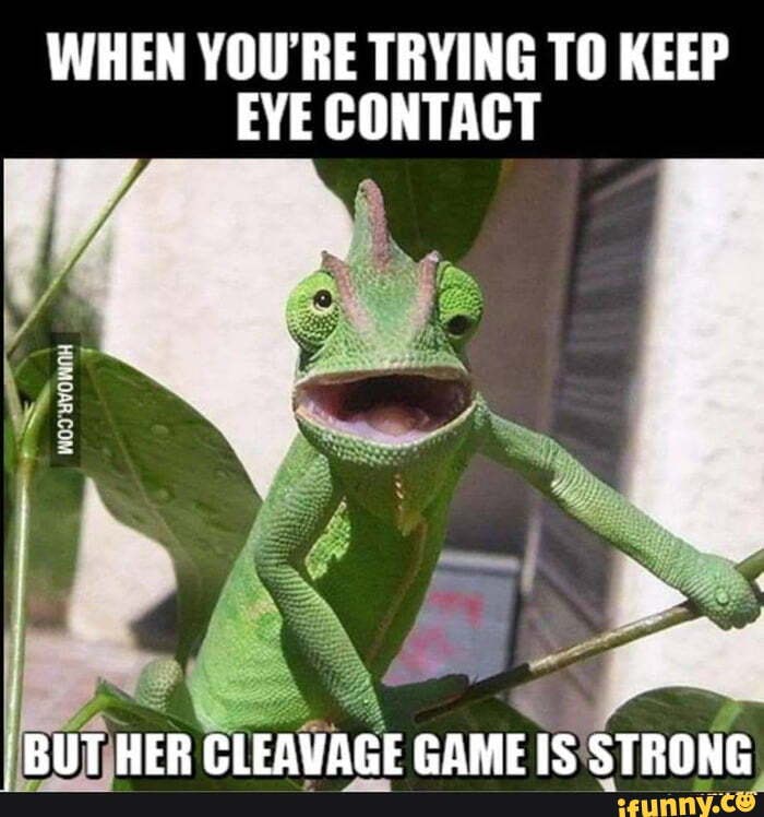 Eye_contact memes. Best Collection of funny Eye_contact pictures on iFunny
