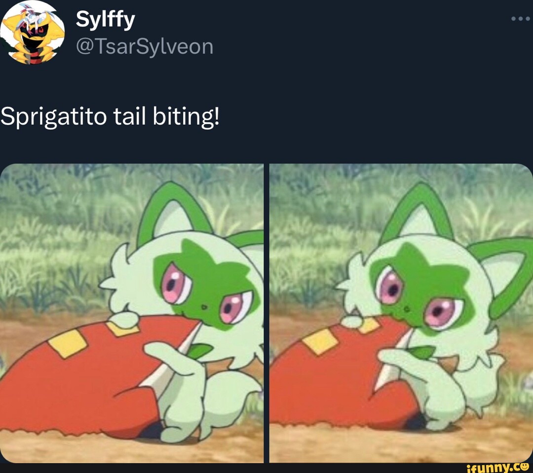 Sprigatito memes. Best Collection of funny Sprigatito pictures on iFunny