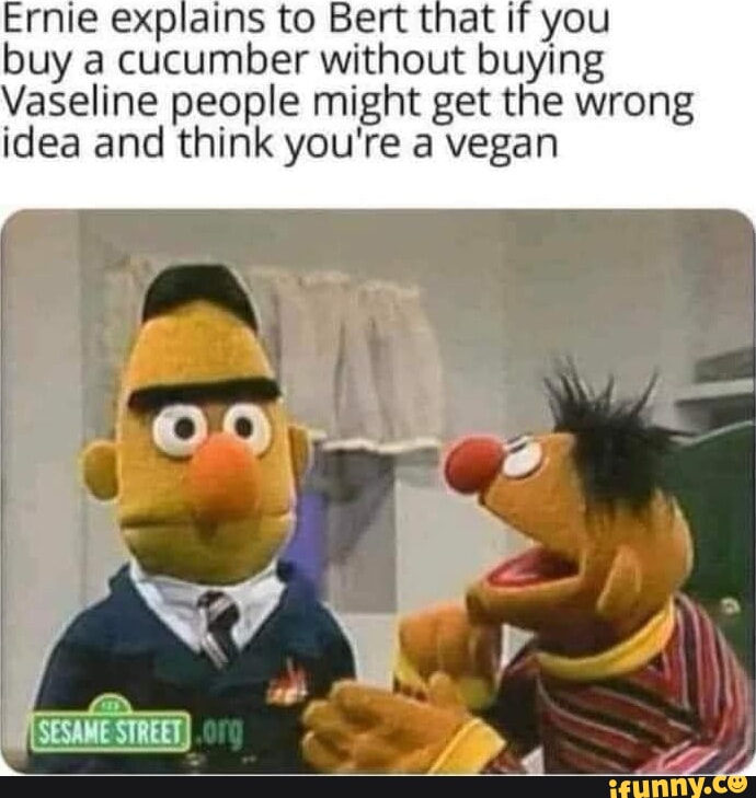 Bert memes. Best Collection of funny Bert pictures on iFunny