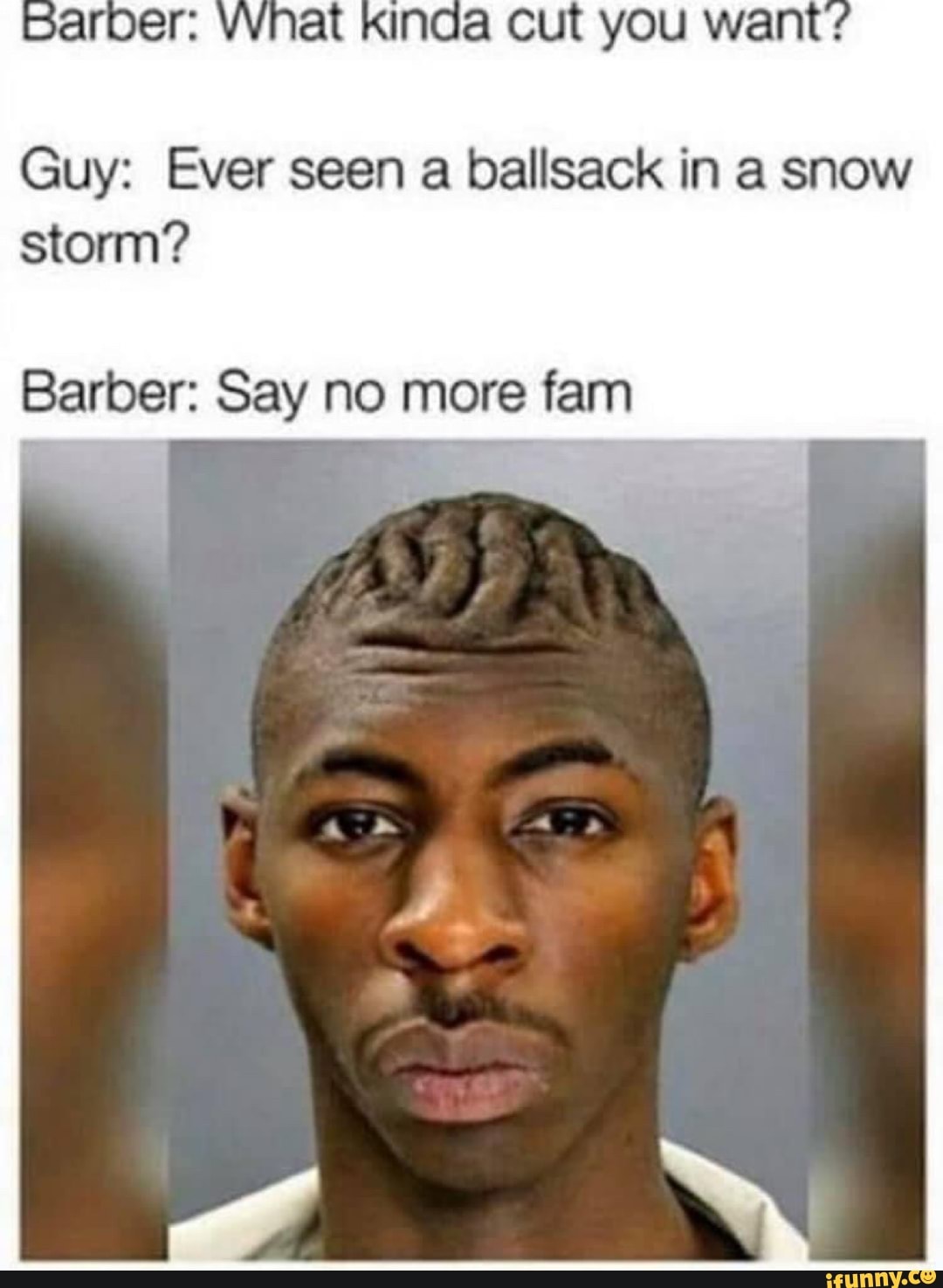 Cut YOU want? Guy: Ever seen a ballsack in a snow storm? Barber: Say no more fam - iFunny