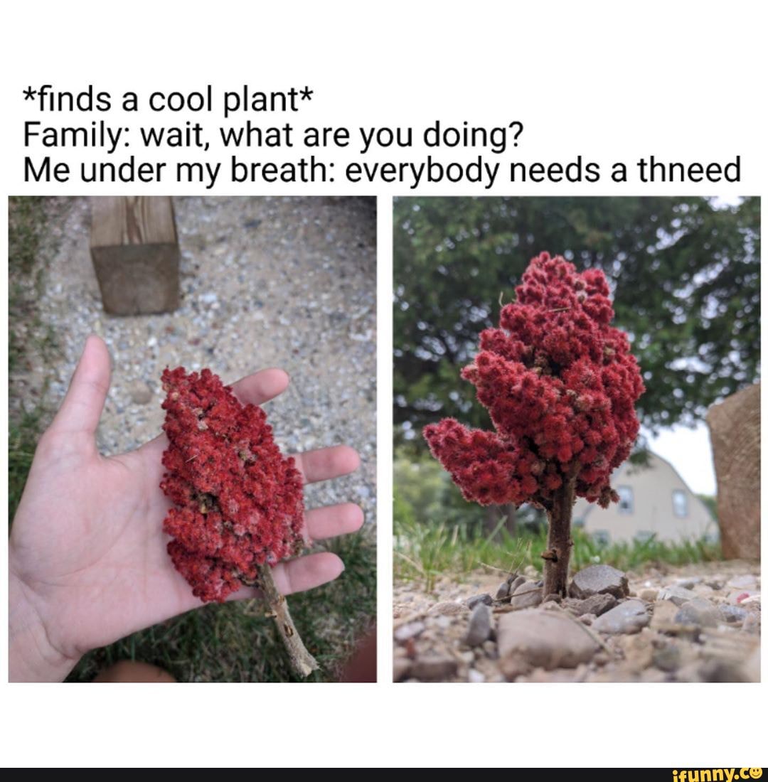 Thneed memes. Best Collection of funny Thneed pictures on iFunny