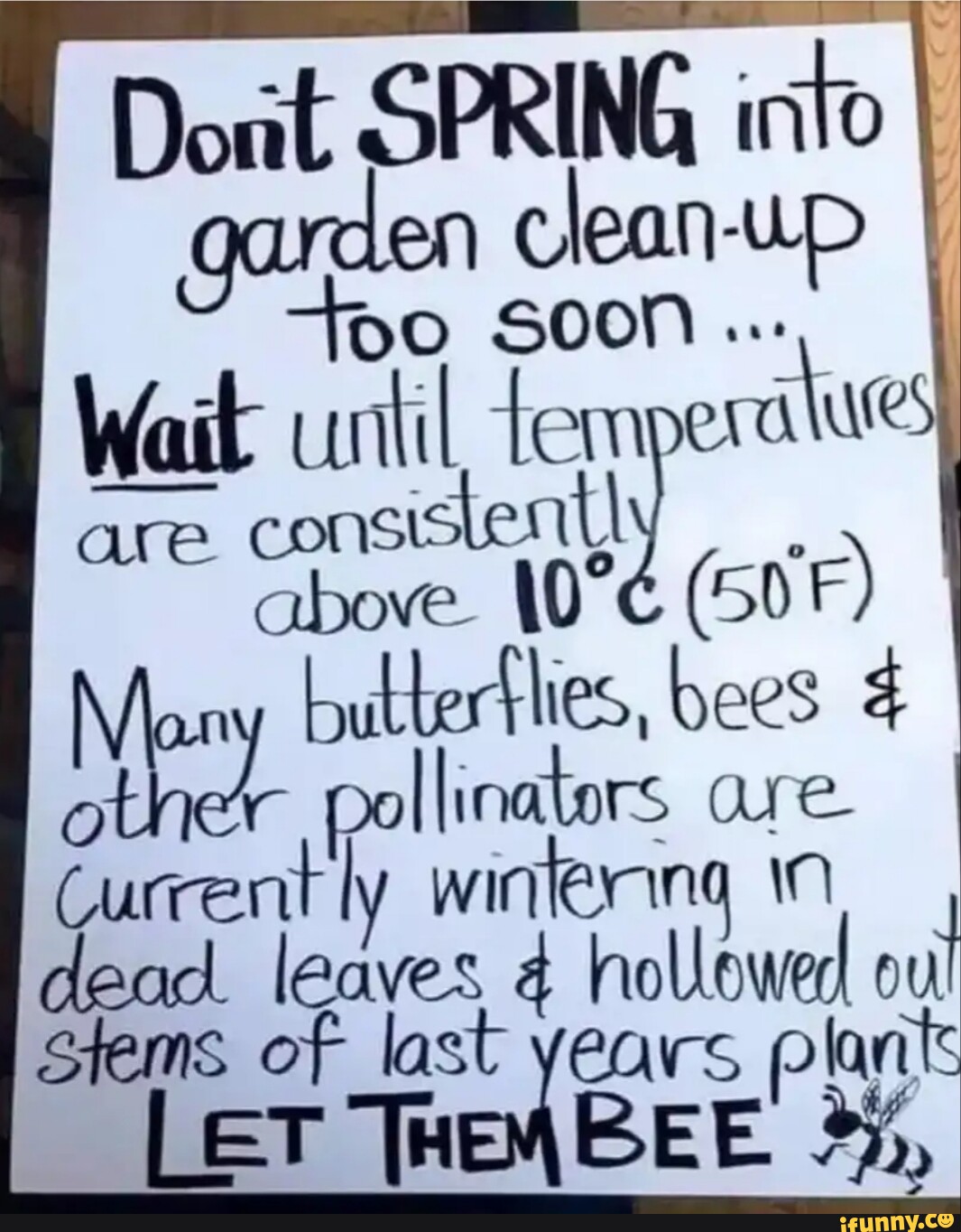 Spring memes. Best Collection of funny Spring pictures on iFunny