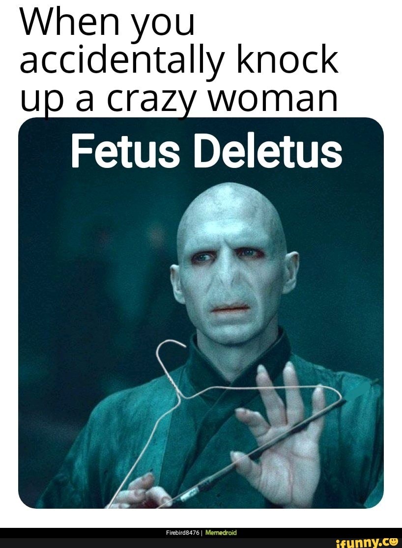 When you accidentally knock Up a crazy woman Fetus Deletus - iFunny