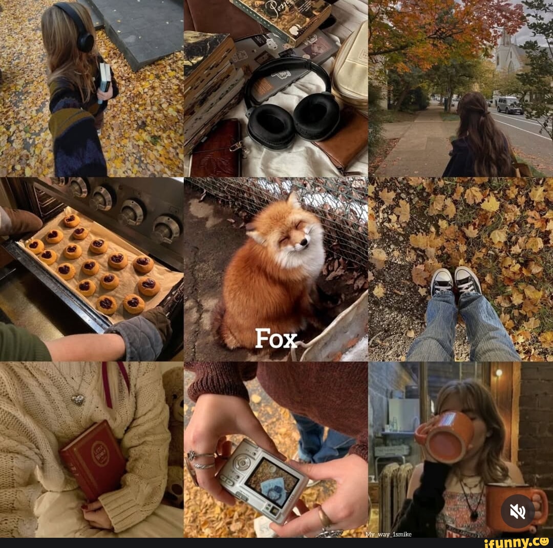 Foxaesthetic memes. Best Collection of funny Foxaesthetic pictures on iFunny