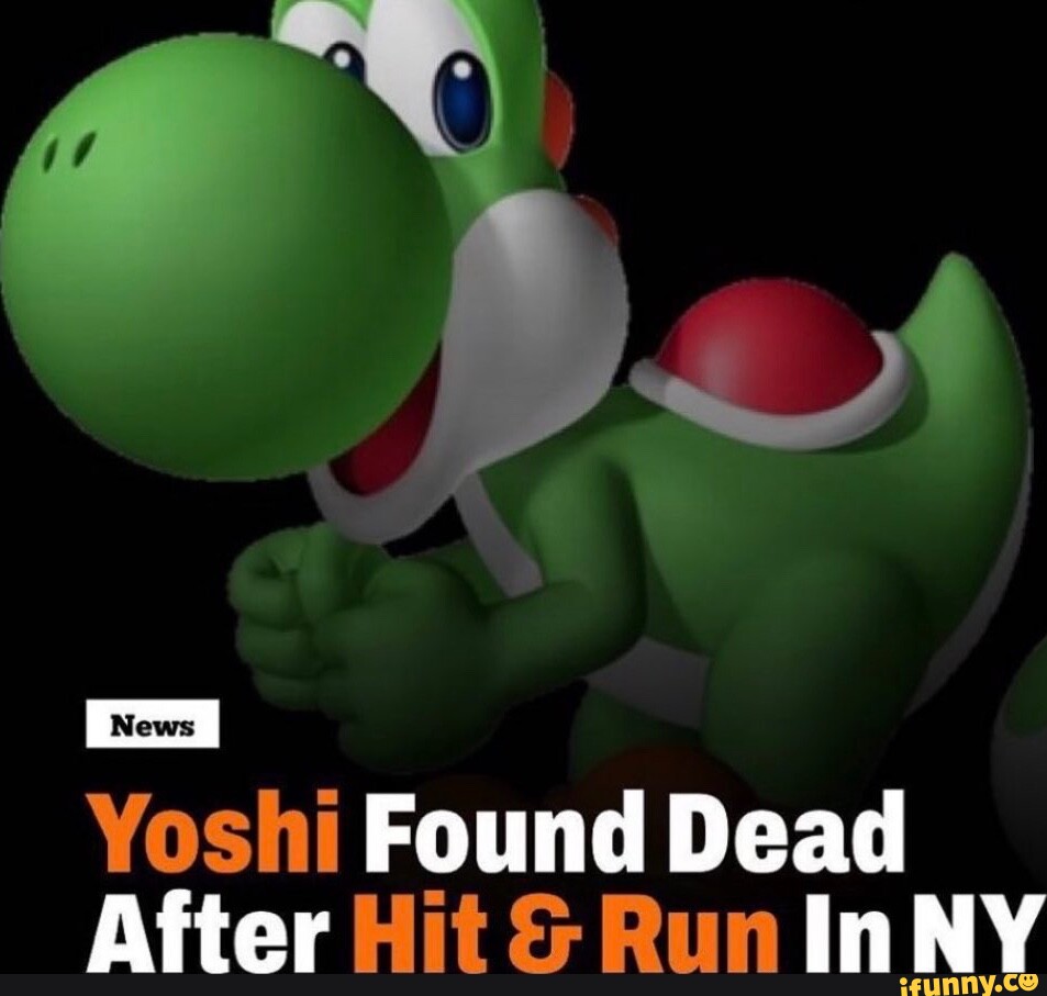 News) Yoshi Found Dead After Hit Run inNY - iFunny
