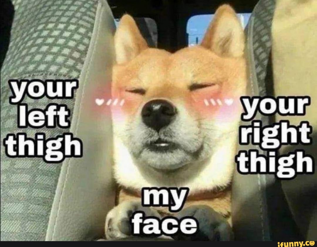 Your left thigh my Your "right thigh face - iFunny