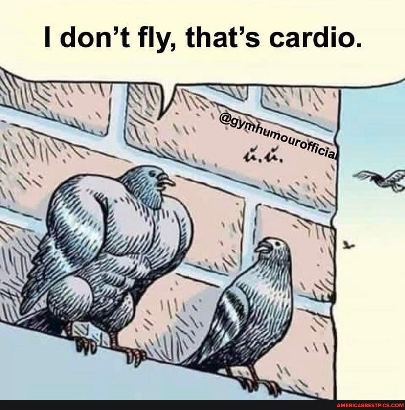 I don't fly, that's cardio. - America’s best pics and videos