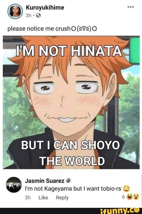 Shoyo memes. Best Collection of funny Shoyo pictures on iFunny