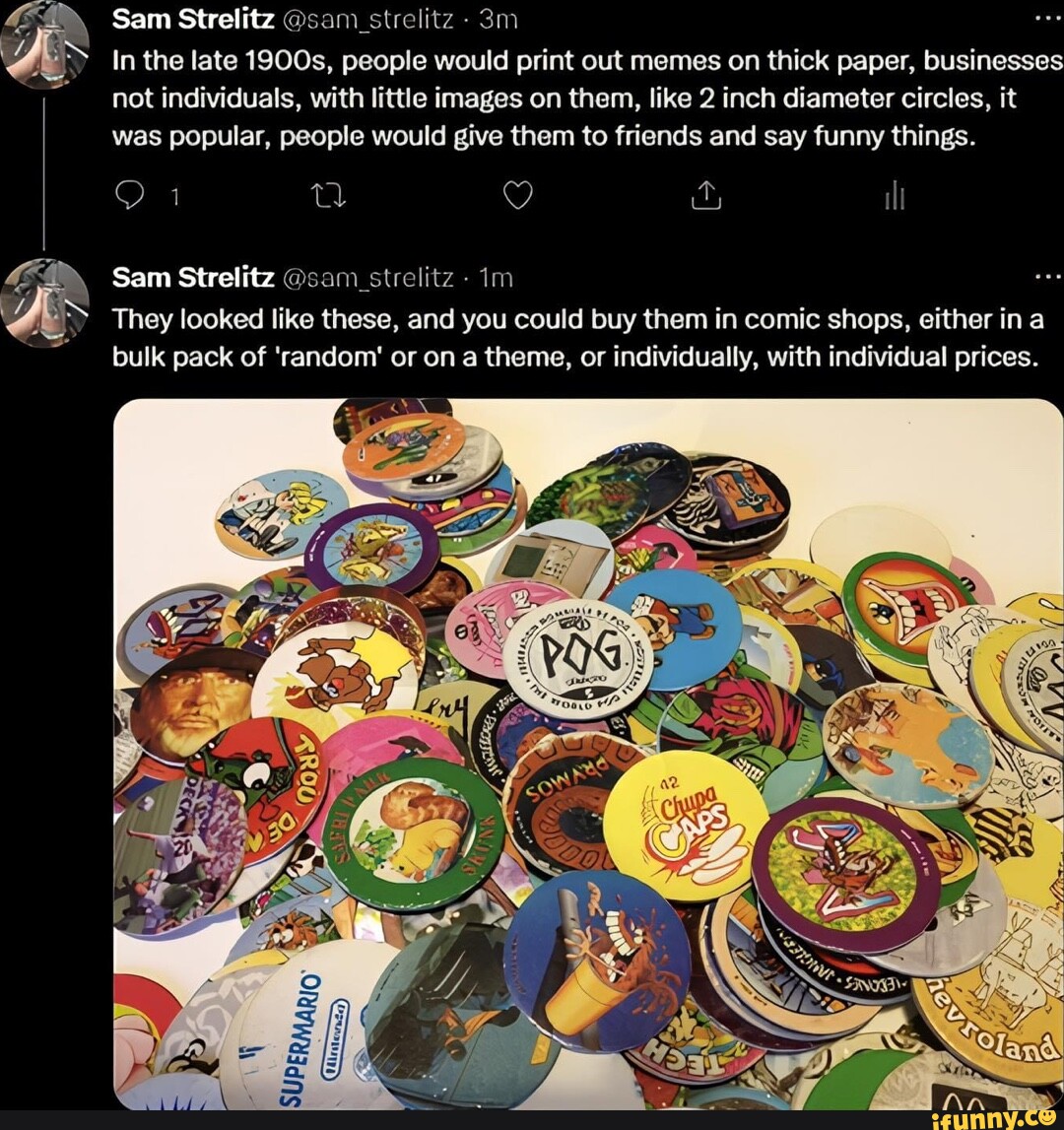 Strelitz memes. Best Collection of funny Strelitz pictures on iFunny