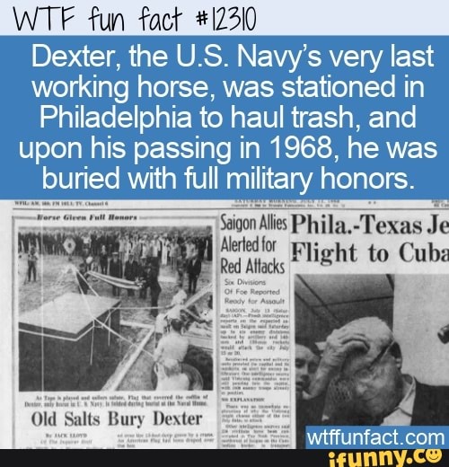 Fun Dexter, the US. Navy's very last working horse, was stationed in ...