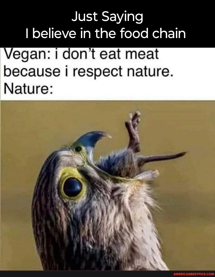 Just Saying I believe in the food chain Vegan: I don't eat meat because ...