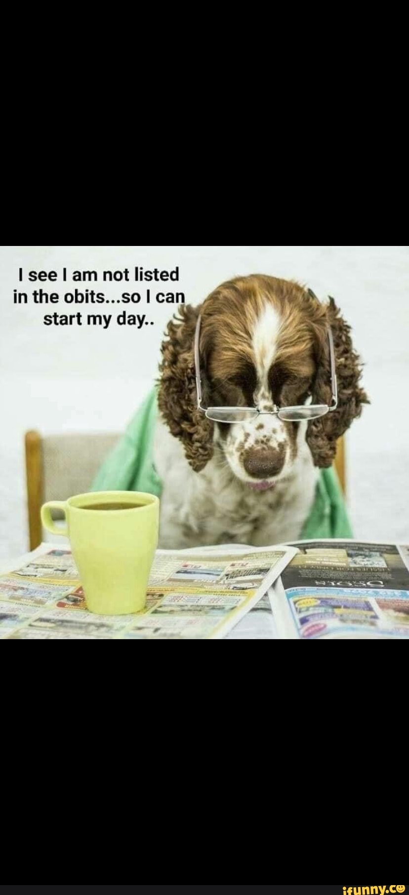 Obits memes. Best Collection of funny Obits pictures on iFunny