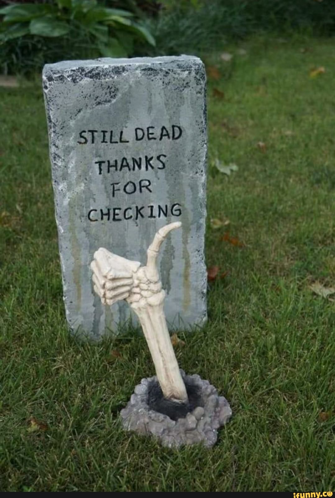 STILL DEAD THANKS FOR CHECKING - iFunny