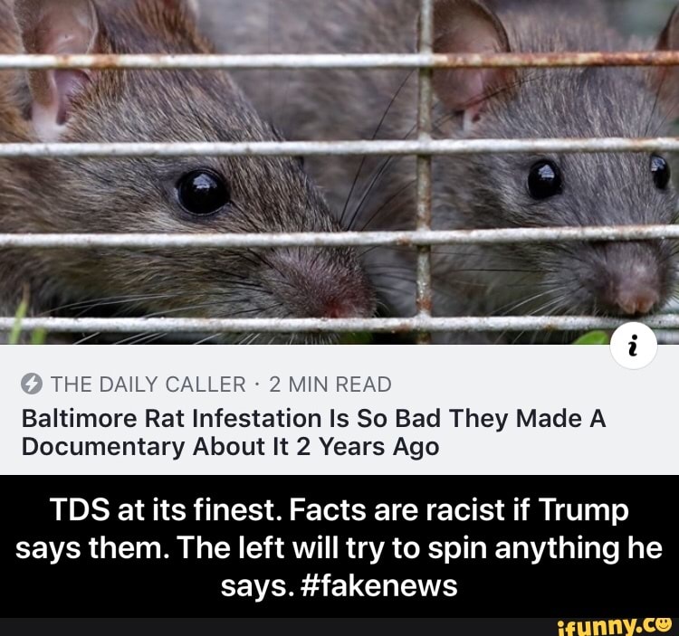 THE DAILY CALLER - 2 MIN READ Baltimore Rat Infestation Is So Bad They ...