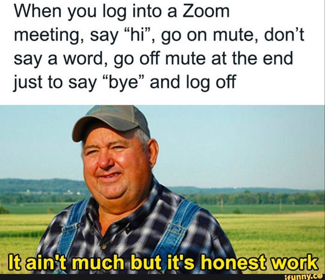 When you log into a Zoom meeting, say "hi', go on mute, don't say a ...