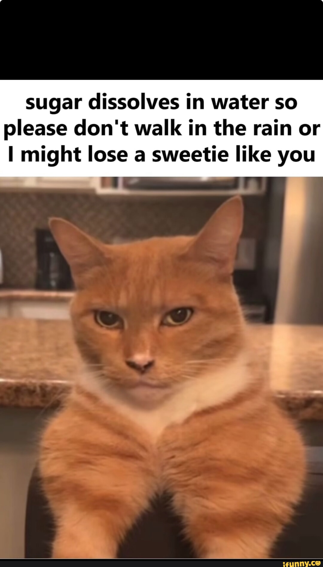 Sugar dissolves in water so please don't walk in the rain or I might lose a sweetie like you ...