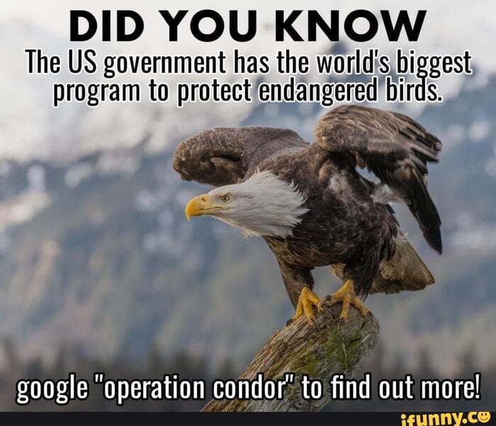 DID YOU KNOW The US government has the world's de program to protect ...