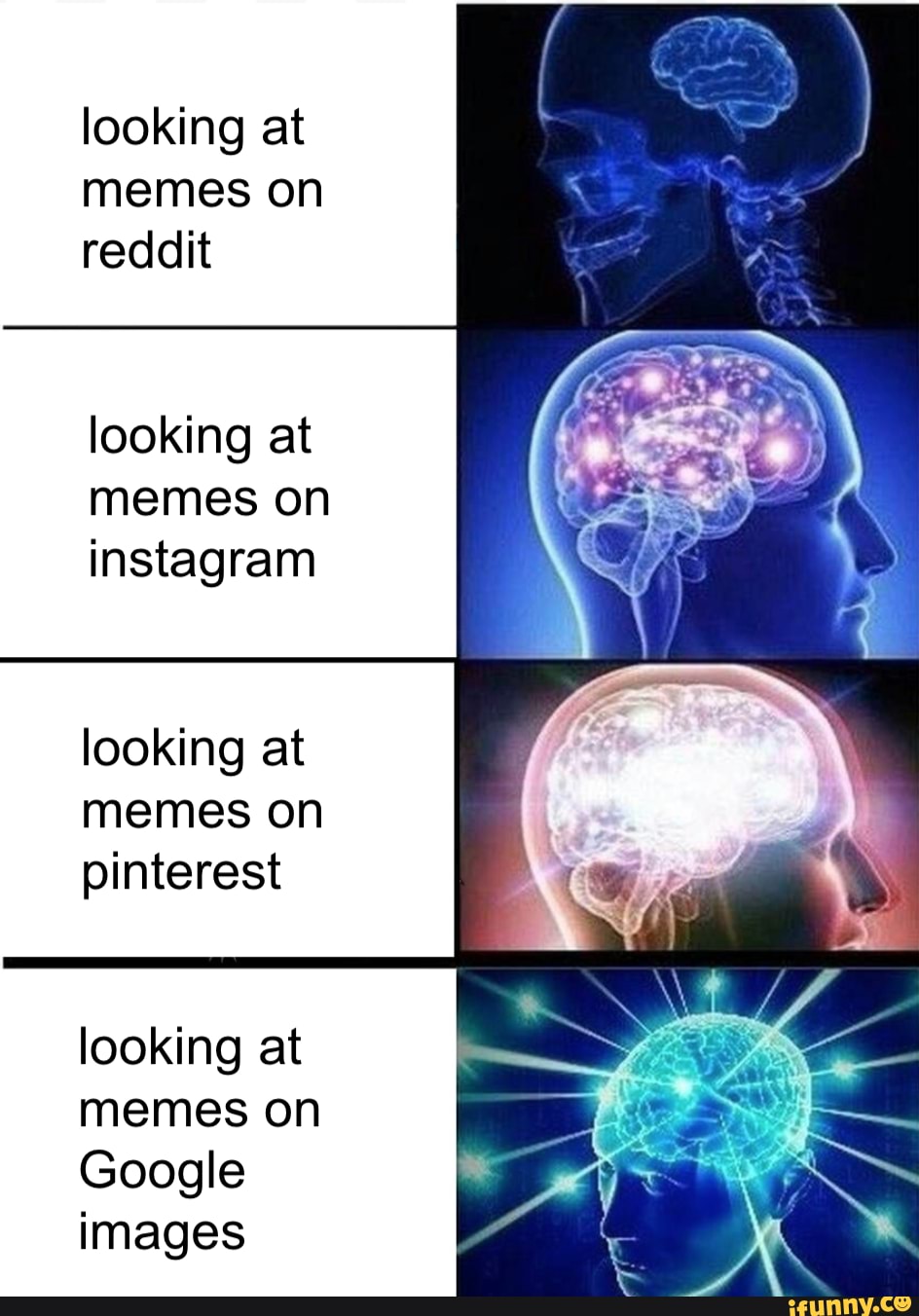 Looking at memes on reddit looking at memes on instagram looking at ...