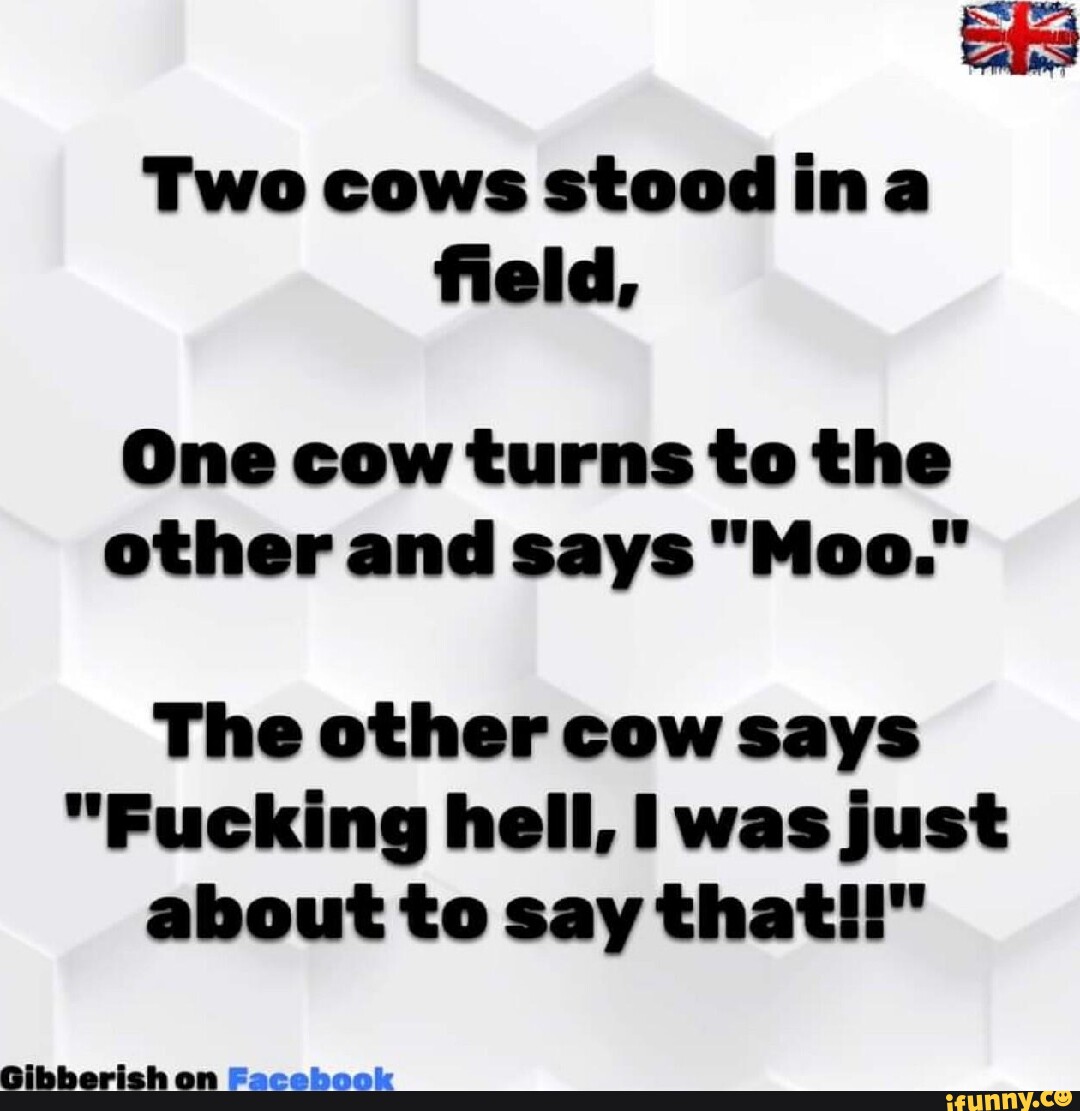 Stoodina memes. Best Collection of funny Stoodina pictures on iFunny