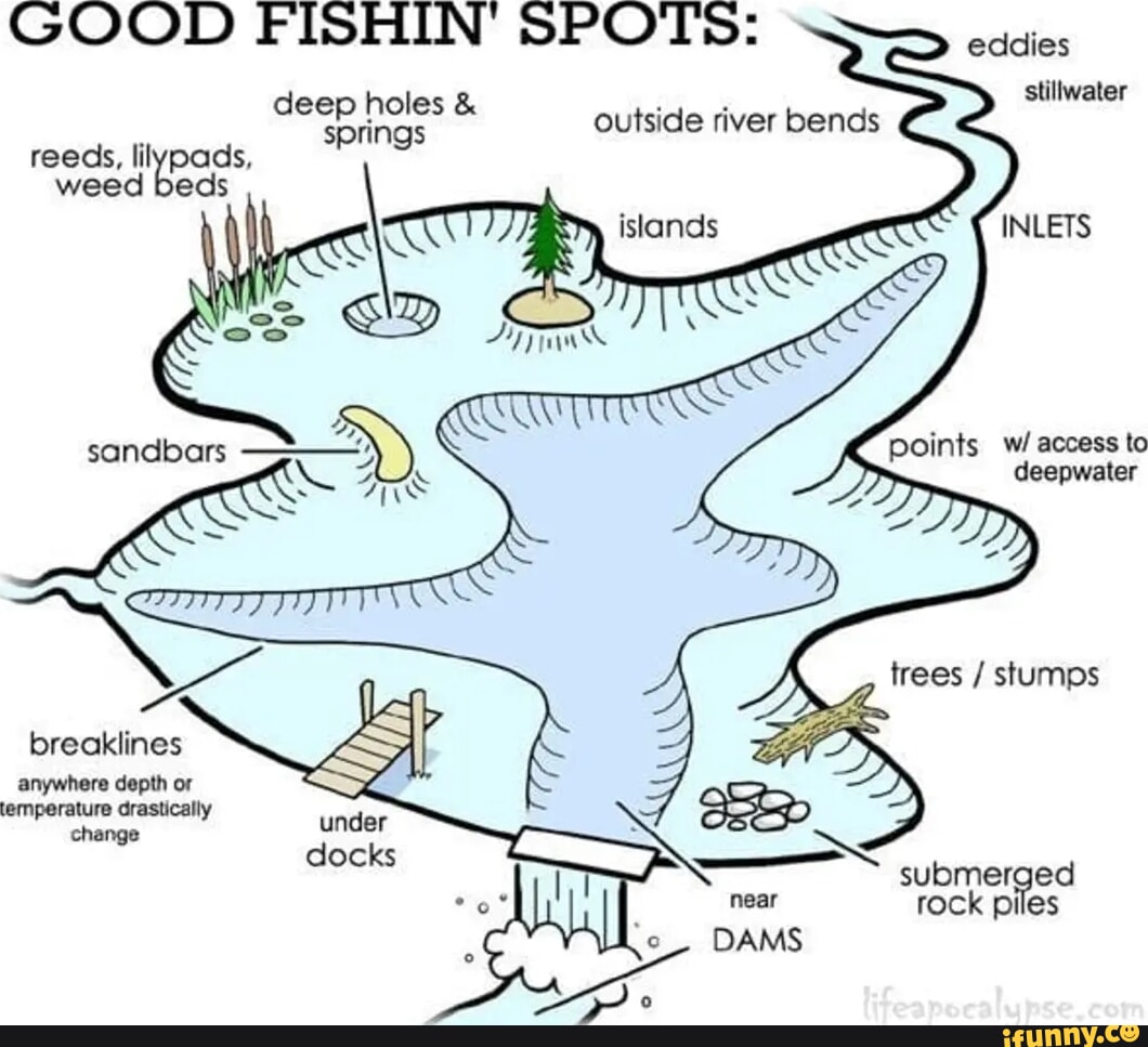 GOOD FISHIN SPOTS: eddies stillwater & outside river bends reeds ...