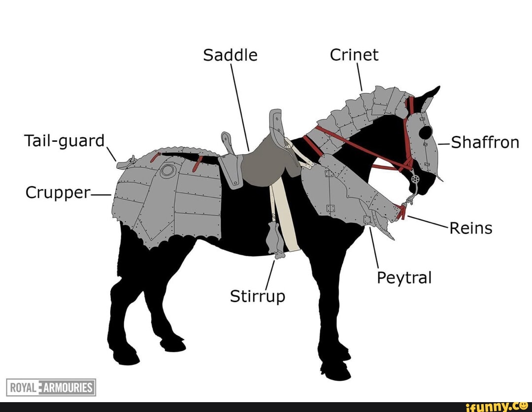Saddle Crinet Tail-guard Crupper- ARMOURIES) Peytral Stirrup - iFunny