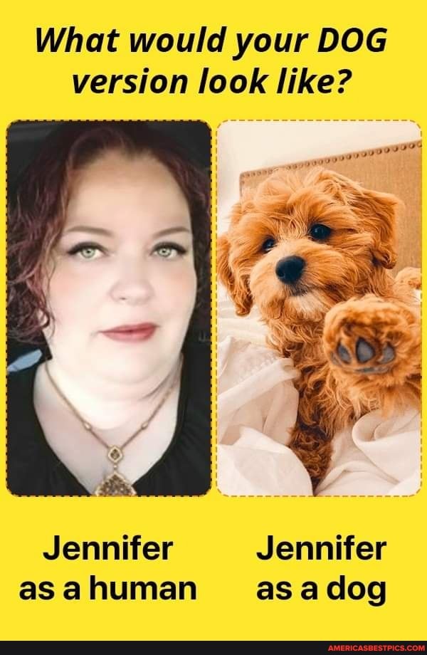 What would your DOG version look like? Jennifer Jennifer as human ...