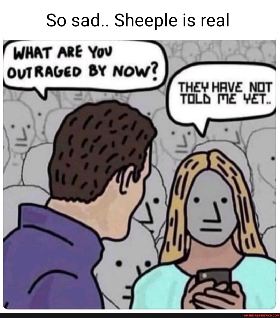 So sad.. Sheeple is real (WHAT ARE You OUTRAGED BY Now? THEY HAVE NOT ...
