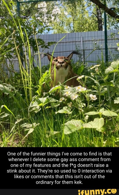 Interaction memes. Best Collection of funny Interaction pictures on iFunny