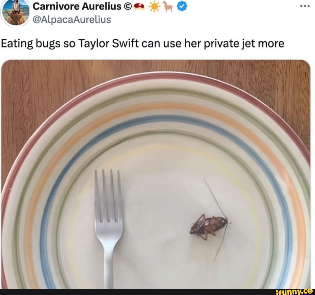 Taylor swift memes memes. The best memes on iFunny