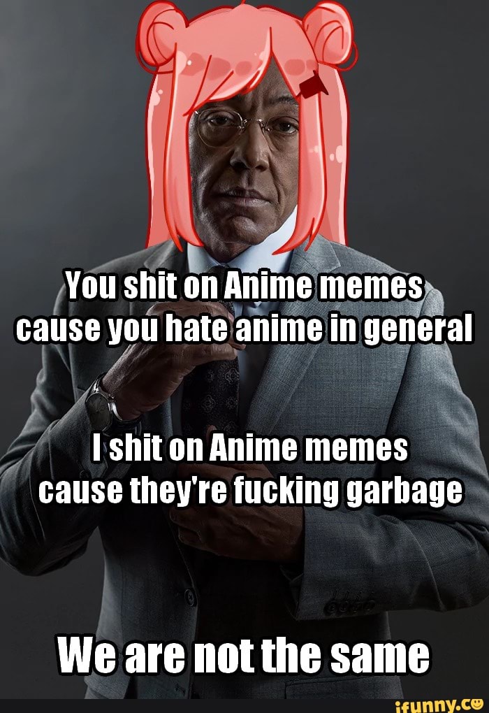 You shit on Anime memes cause you hate anime in general shit on Anime ...