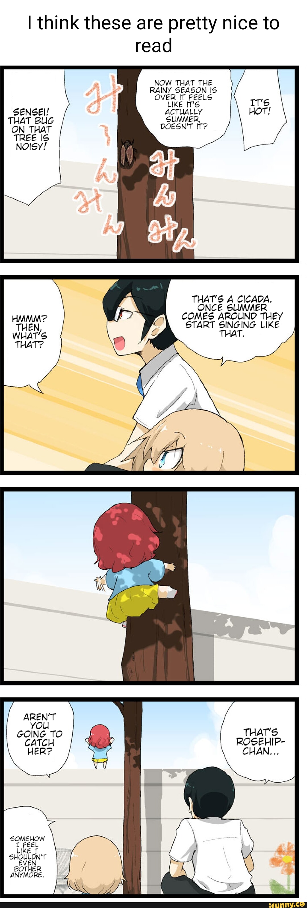 Cicada memes. Best Collection of funny Cicada pictures on iFunny