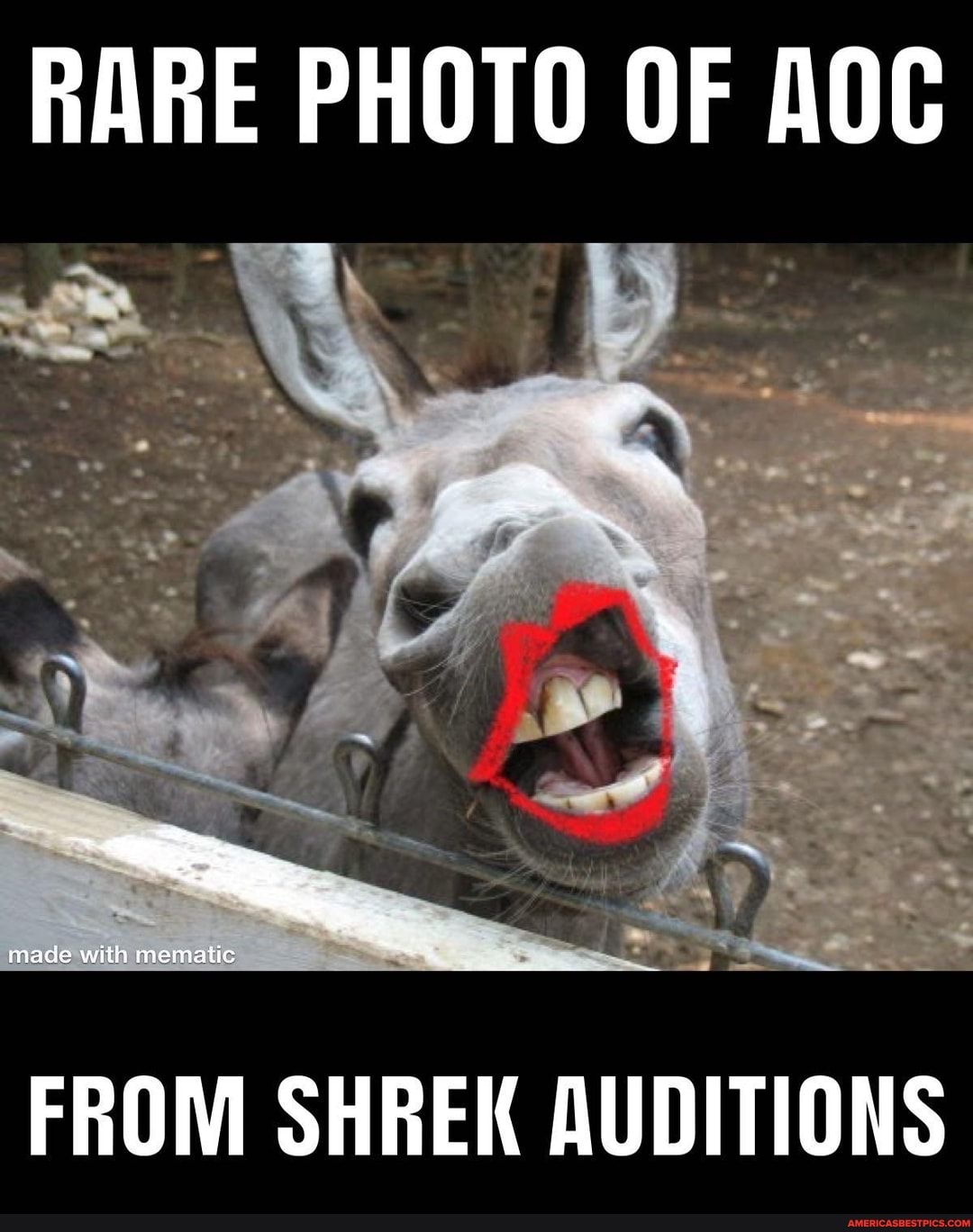 RARE PHOTO OF AOC FROM SHREK AUDITIONS - America’s best pics and videos