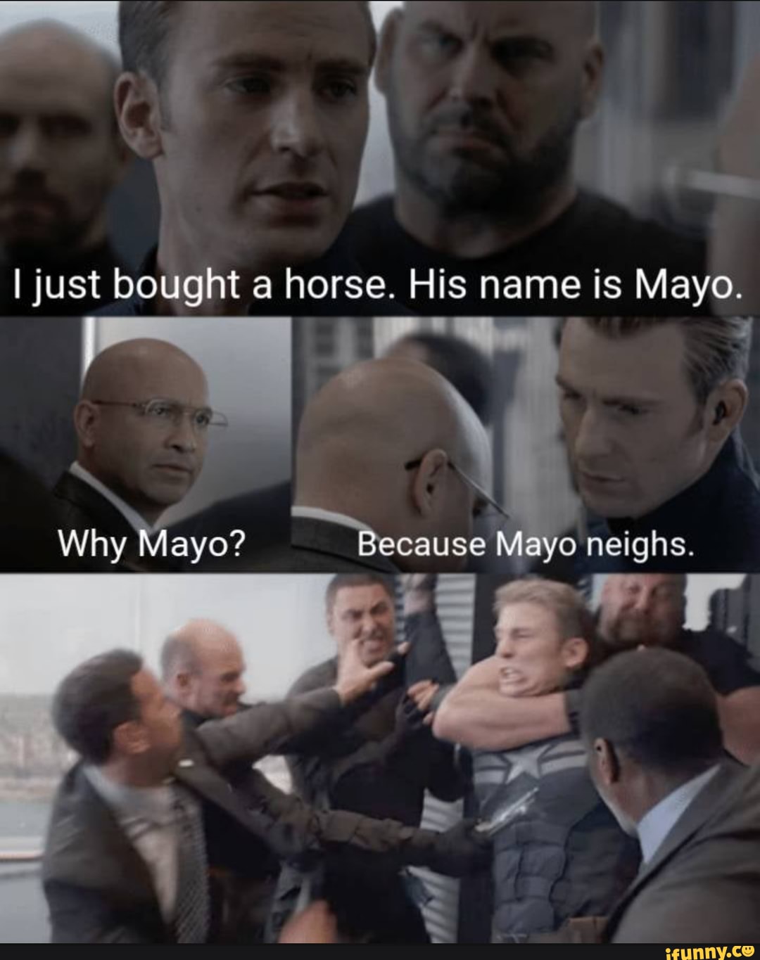 Is it funny? Neigh - I just bought a horse. His name is Mayo. Why Mayo ...