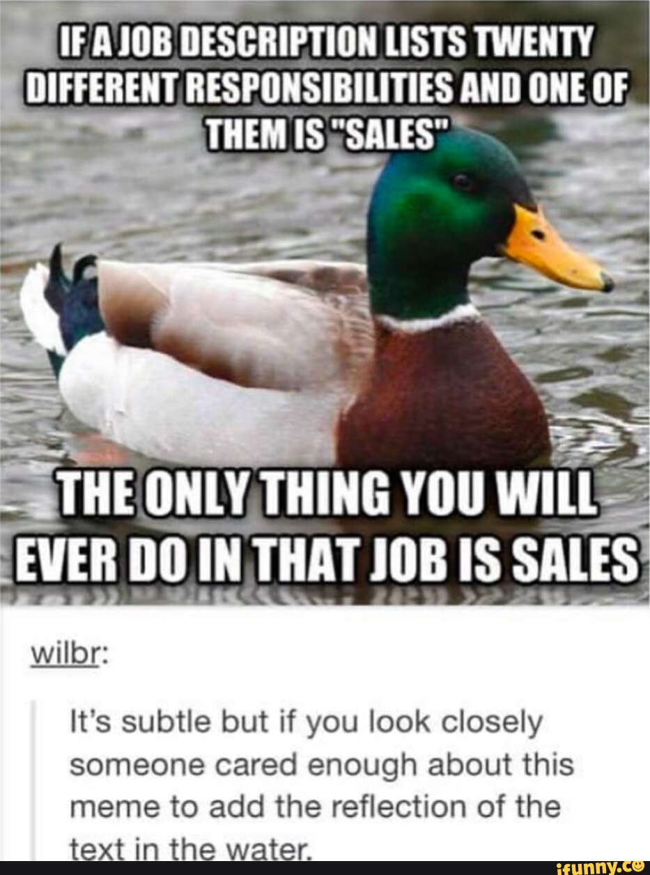 IF RJOB DESCRIPTION LISTS TWENTY DIFFERENT RESPONSIBILITIES AND ONE OF ...