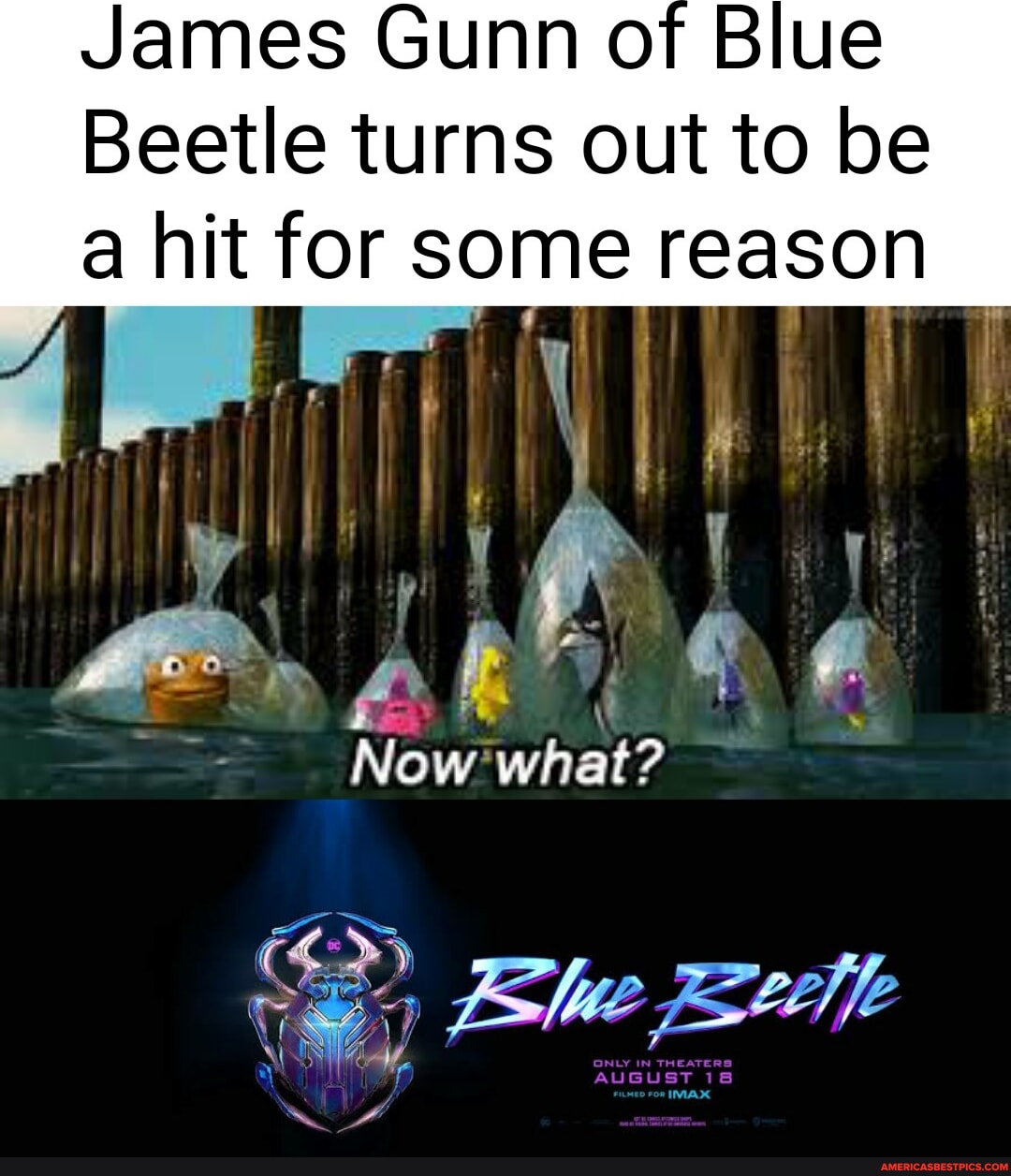 James Gunn or Blue Beetle turns out to be hit for some reason Now :what ...