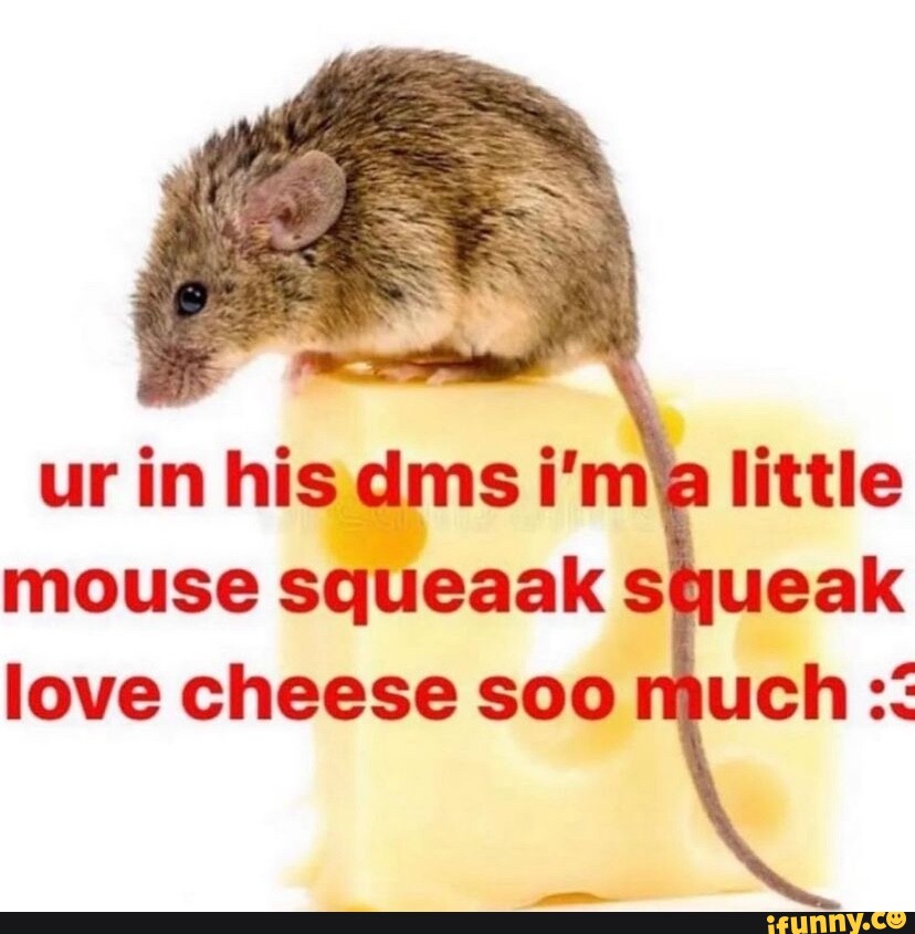 Squeaak memes. Best Collection of funny Squeaak pictures on iFunny