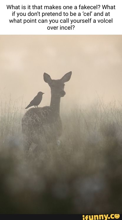 What is it that makes one a fakecel? What if you don't pretend to be a ...