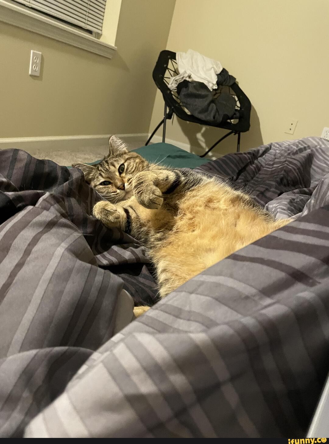 Tobacky memes. Best Collection of funny Tobacky pictures on iFunny