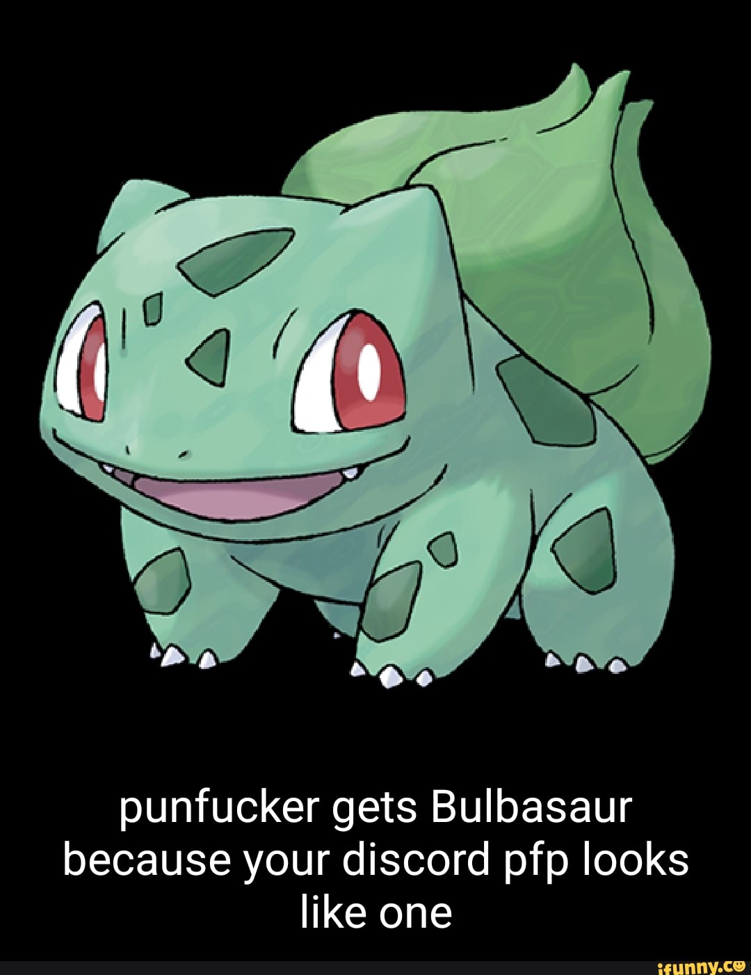 Punfucker gets Bulbasaur because your discord pfp looks like one - iFunny