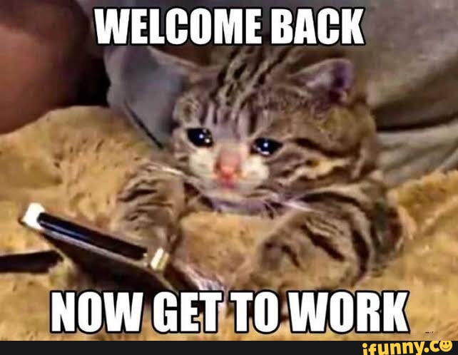 WELCOME BACK NOW GET TO WORK - iFunny