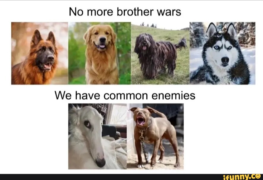 No more brother wars I We have common enemies - iFunny