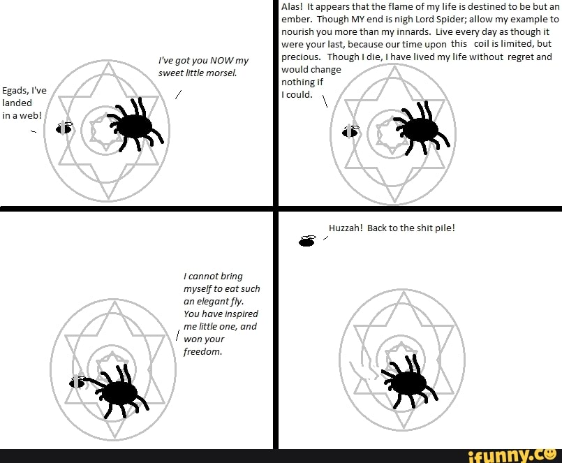 Egads memes. Best Collection of funny Egads pictures on iFunny