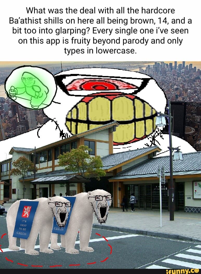 What was the deal with all the hardcore Ba'athist shills on here all ...