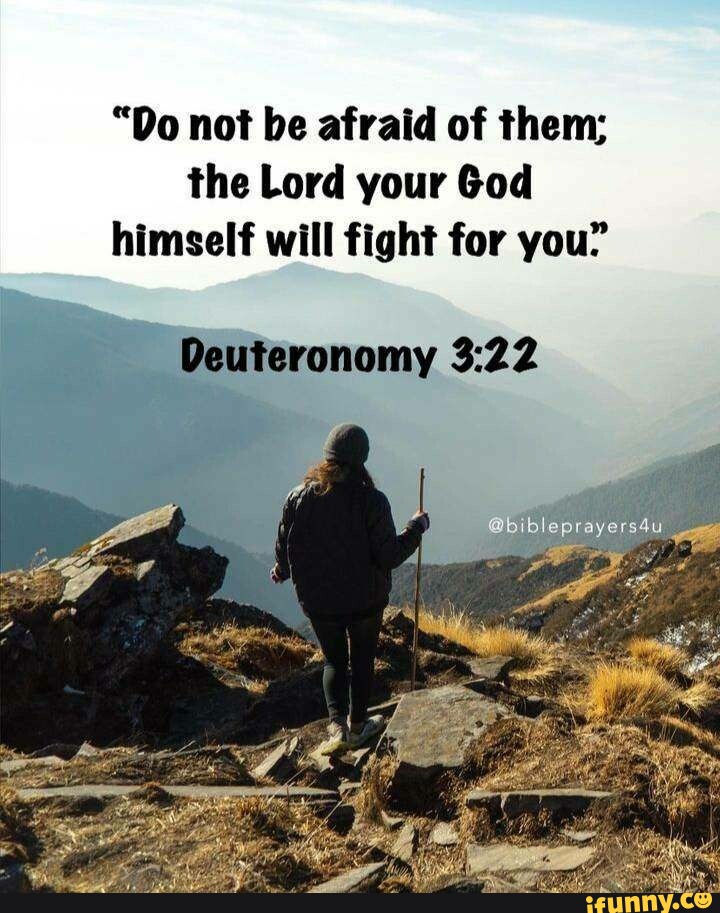 "Do not be afraid of them: the Lord your God himself will fight for you ...