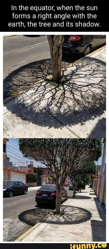 In the equator, when the sun forms a right angle with the earth, the ...