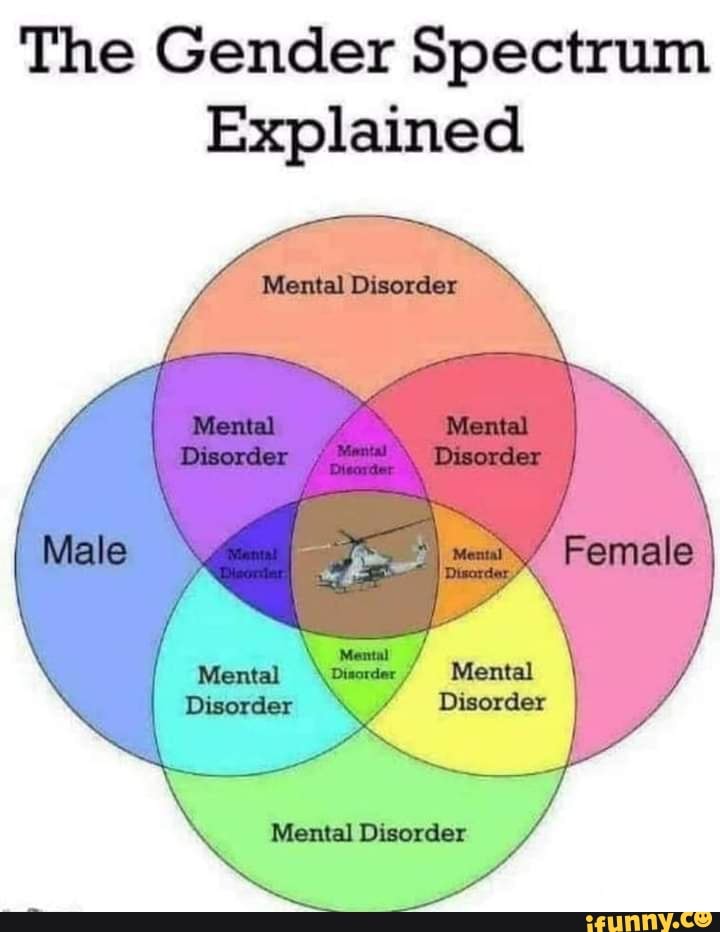 The Gender Spectrum Explained Mental - iFunny