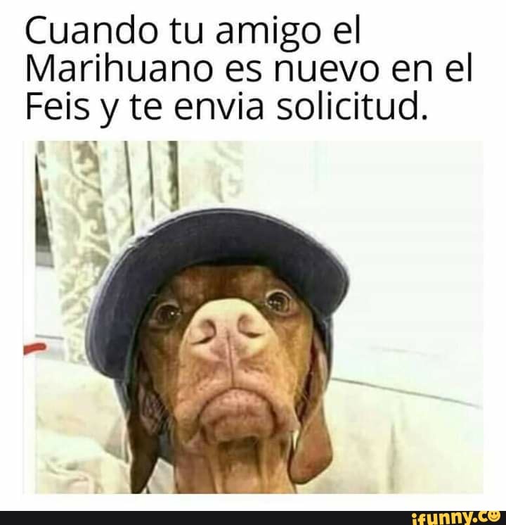 Cuando tu amigo el Marihuano es nuevo en el Feis y te envia solicitud ...